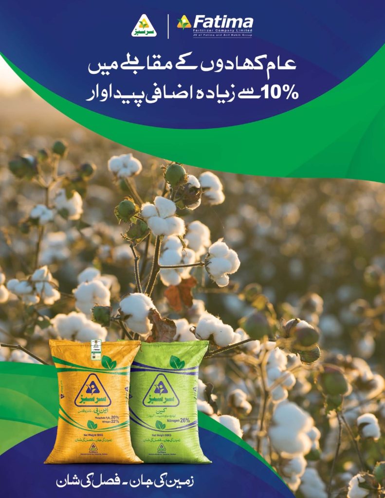 FATIMA GROUP – Mindful